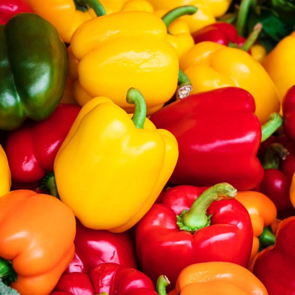 Fresh Capsicum Online Singapore | Buy Fresh Capsicum Mixed Colors ...