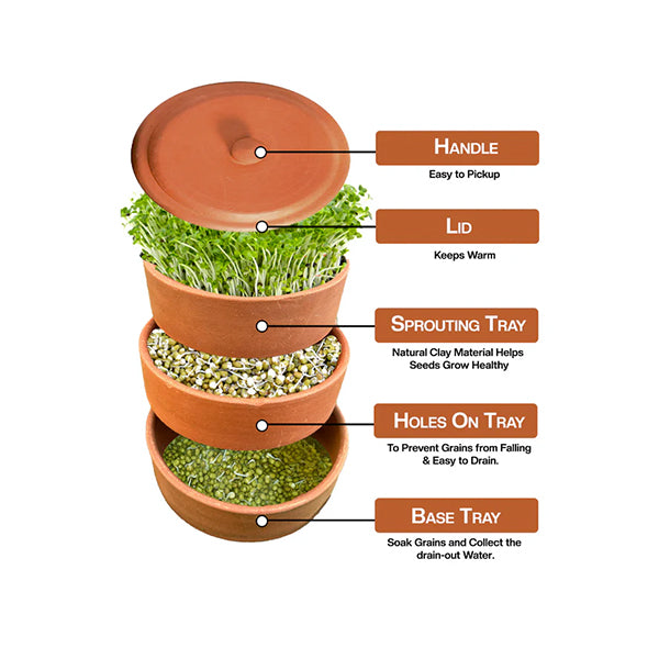 Earthen Clay Sprout Box -(3 container with lid)