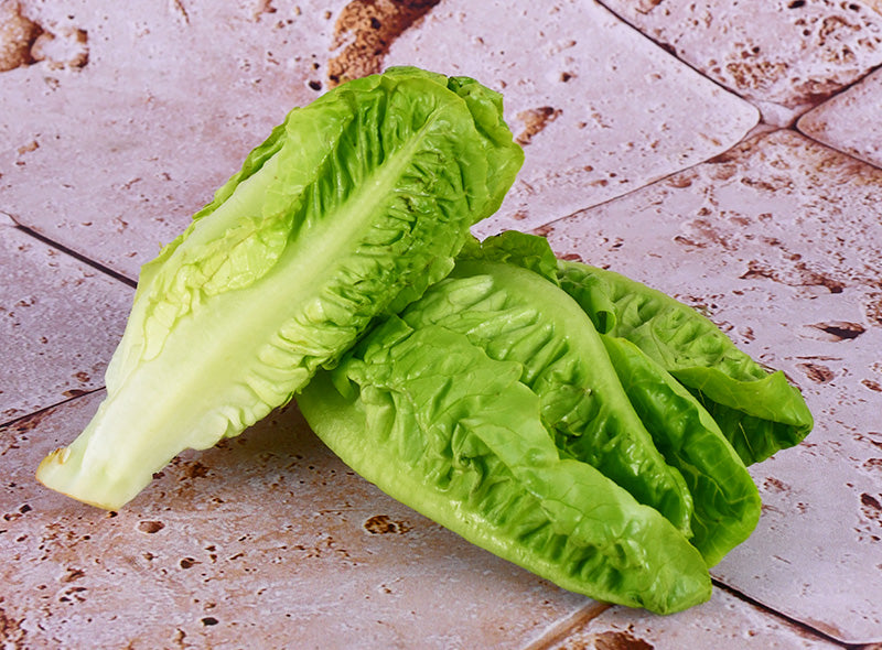 Zenxin Organic Cos Mini Lettuce - 160 G