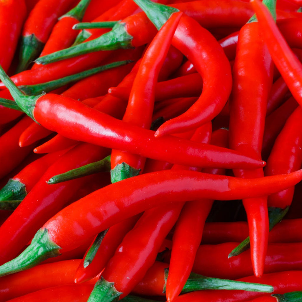 Fresh Big Red Chilli (Thailand) - 200 g