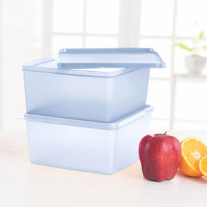 Tupperware Keep Tab Large - Set of 2