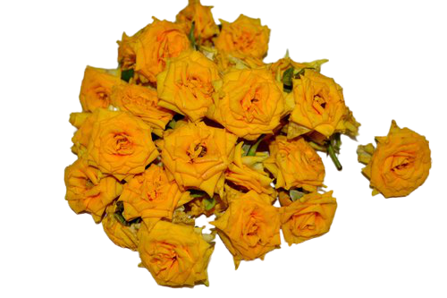 Fresh Yellow Rose Pooja Flower - 100 g