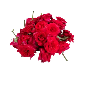 Fresh Red Rose Pooja Flower - 200 g